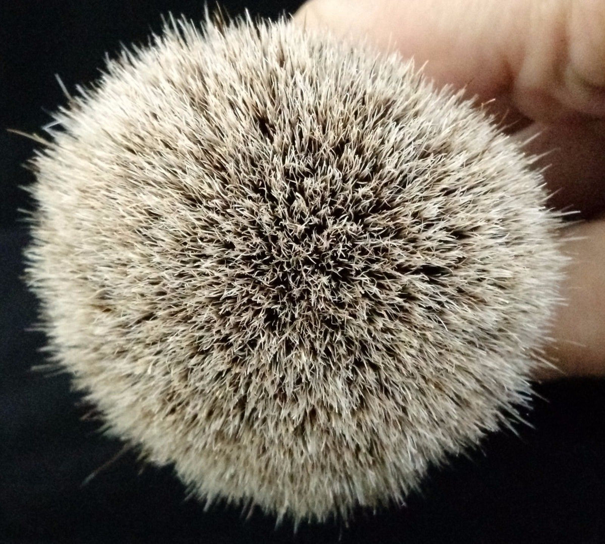 Normal Sized Aluminum Handle Silvertip Badger Shave Brush. 24.5mm. P4 ...